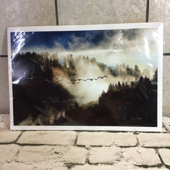 Art | Odyssey Charles Draper Wildlife Photography Art Print Canadian ...